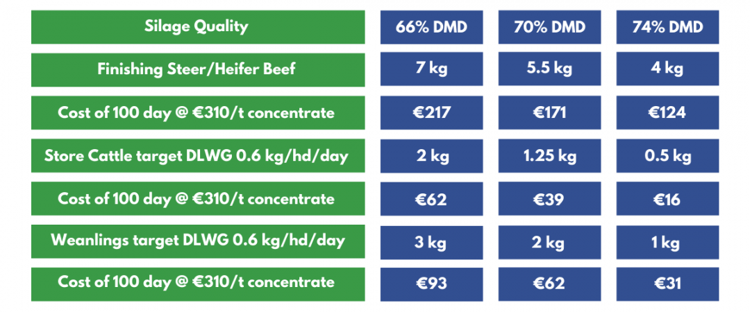 Beef Cattle Diet Breakdown Agritech beef-cattle-diet-breakdown-agritech