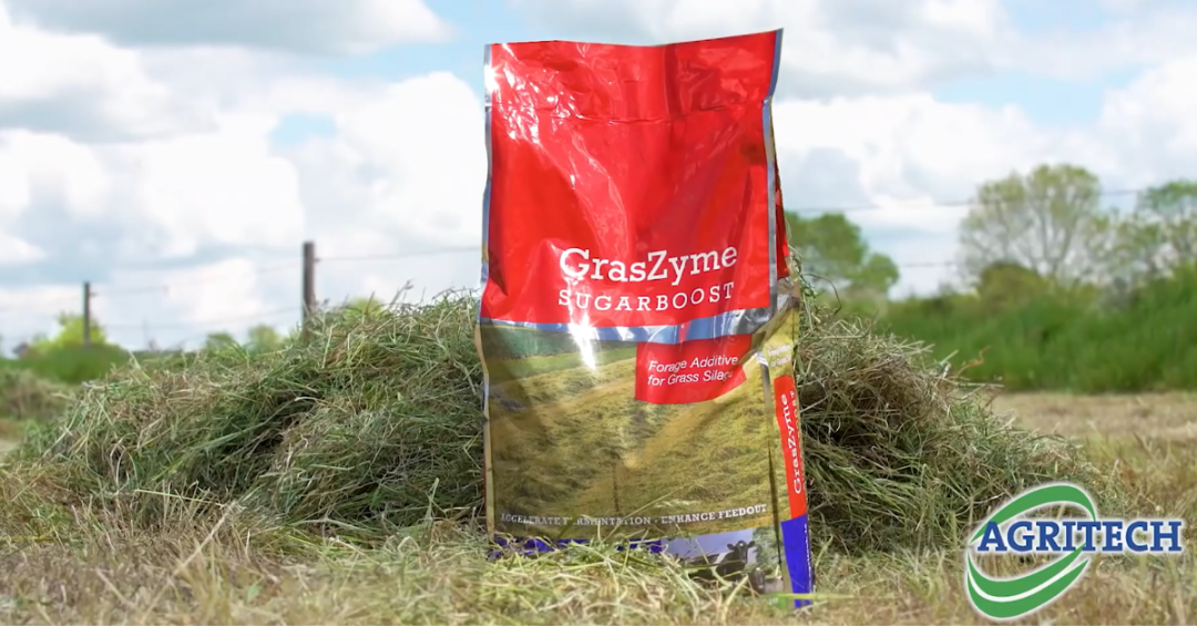 4 steps to producing high-quality silage | Agritech